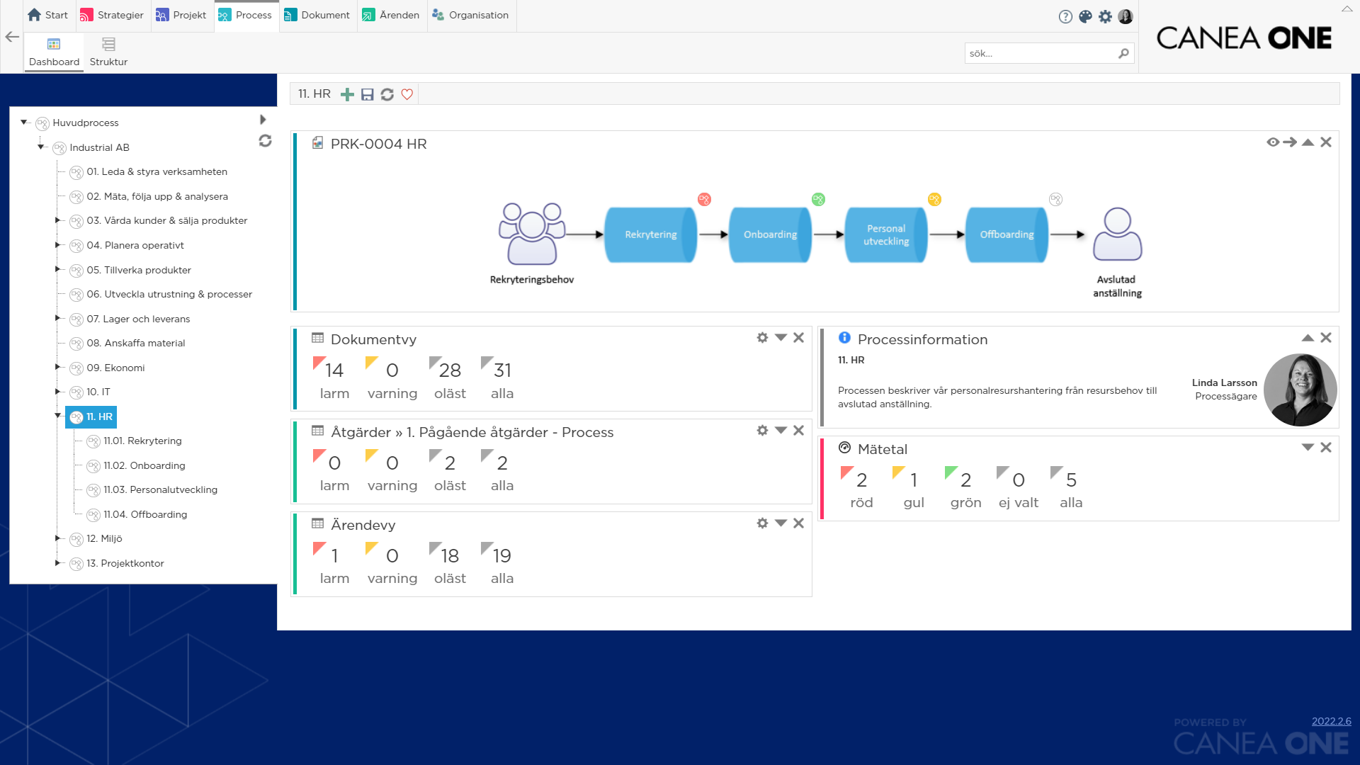 Verktyg för processkartläggning | CANEA