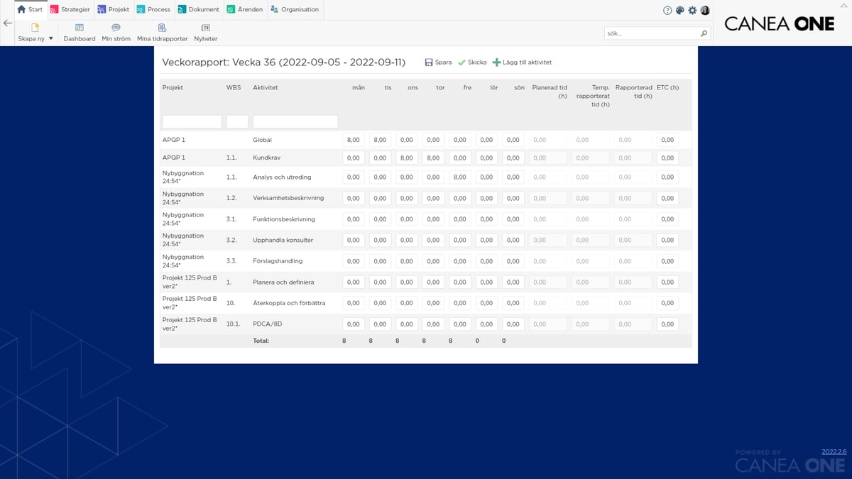 Projektverktyg - Heltäckande system för komplexa projekt