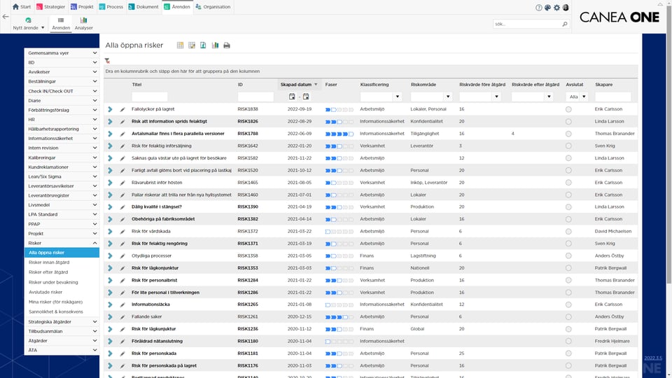 Riskhantering, riskhanteringsverktyg | CANEA