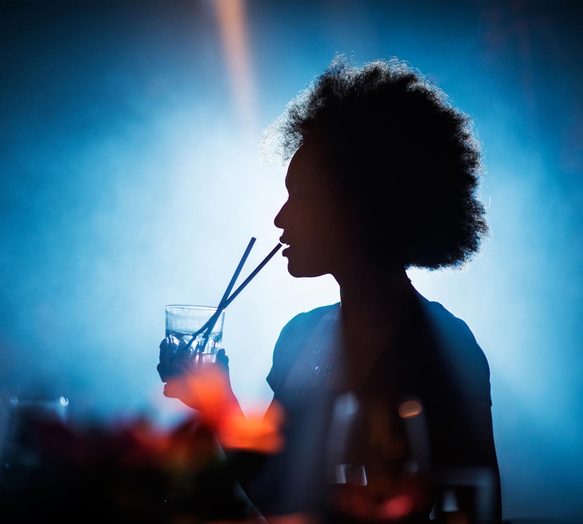 CANEA ONE – IT-stöd för ledningssystem