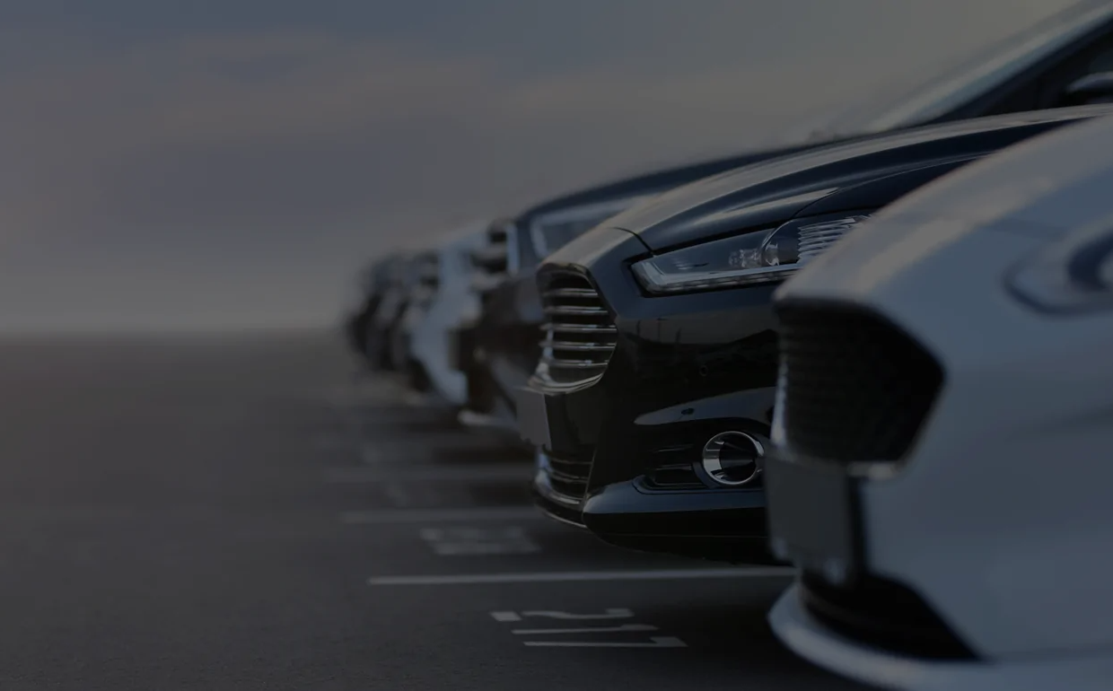 IT-stöd, utbildningar & konsulter inom verksamhetsutveckling | CANEA